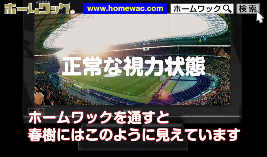 視力回復ばら自宅でテレビを見るだけで取り組めるホームワック 視力回復ばら自宅でテレビを見るだけで取り組めるホームワック